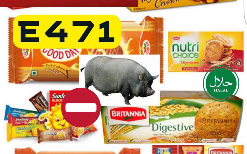 ما هو E471 ؟ وهل E471 حلال أم حرام؟ وهل E471 نباتي أم حيواني؟ - جريدة الجالية الجزائرية